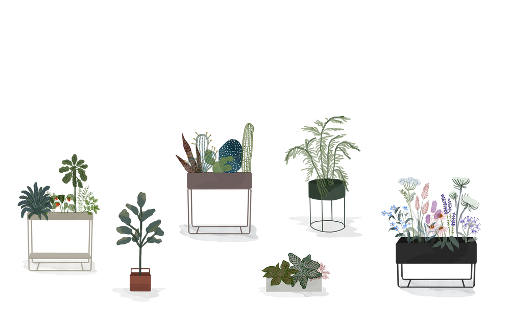 Guider för Plant Boxes – Ferm Living